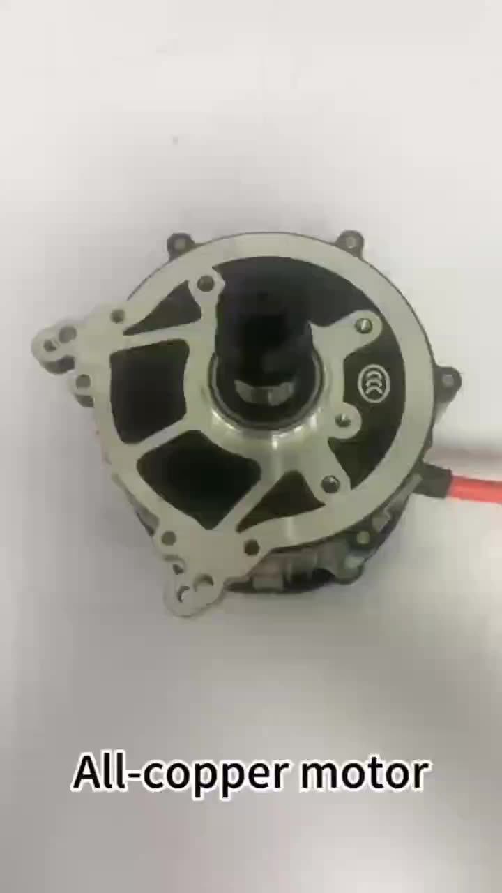 Chinese Motor Bldc E Rickshaw 1000w Electric Motor Tricycle Bldc Motor ...