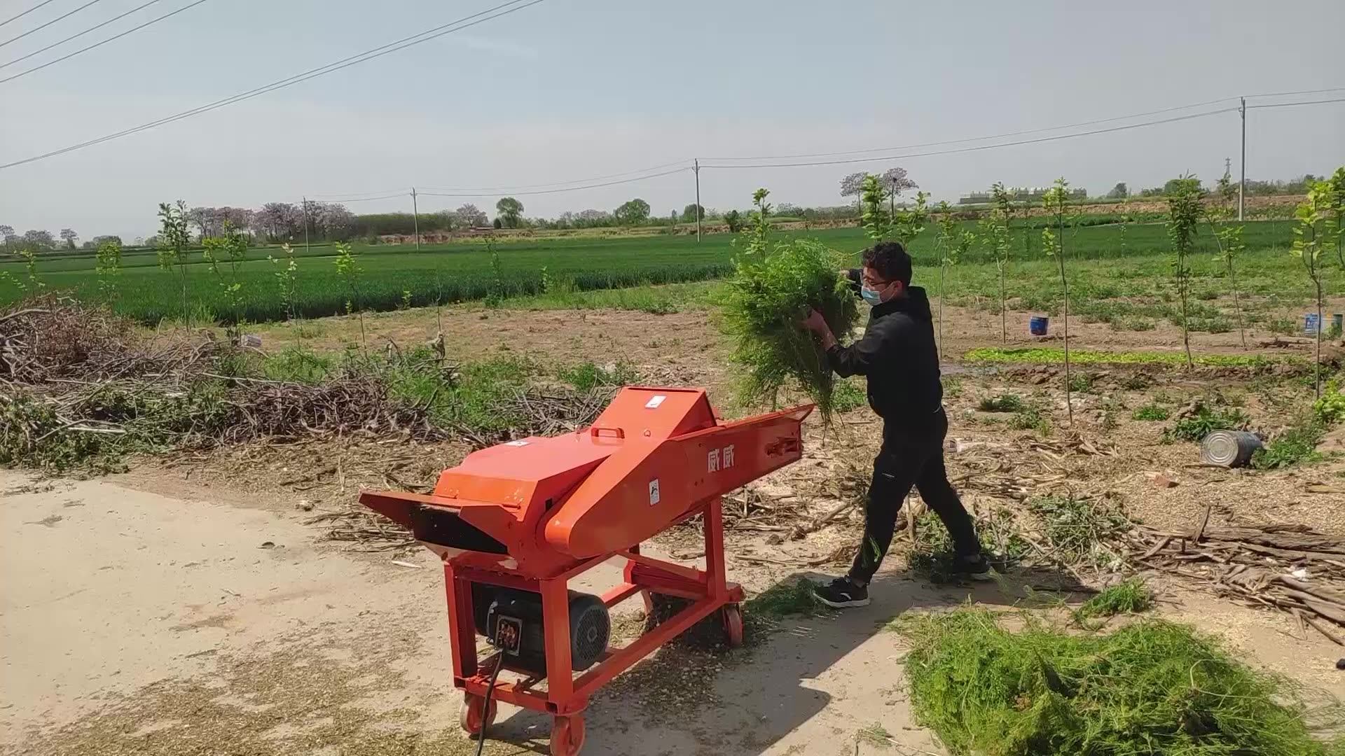 Xingyang Manufacturing Best Selling Quality Chaff Cutter For Napier ...