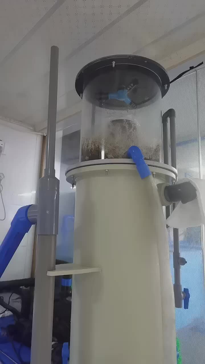 Protein Skimmer Foam Fractionator For Public Marine Aquarium Tank ...