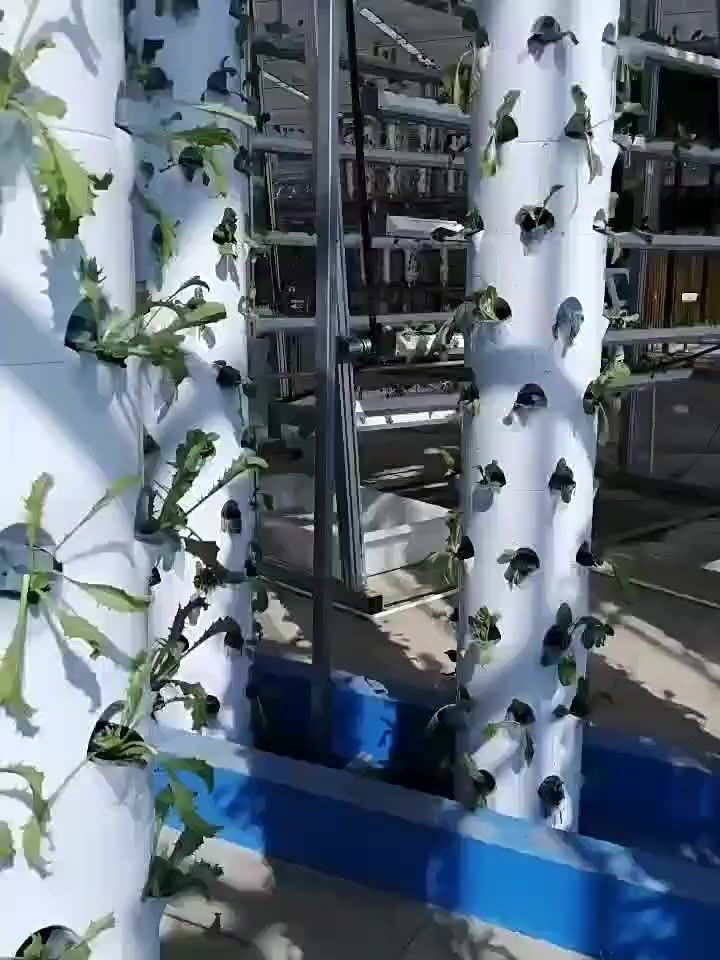 Greenhouse Hydroponics Growing Agriculture Planting Tower Vertical ...