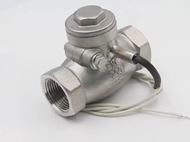 1 Inch Stainless Paddle Water Flow Switch - Buy Paddle Water Flow ...