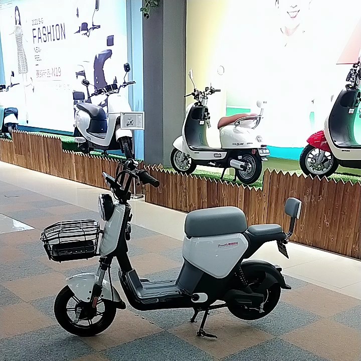 Saige Eec Q7 Foot Rest 48v 500w Electric Bicycle Two Seat E Bike 2 ...