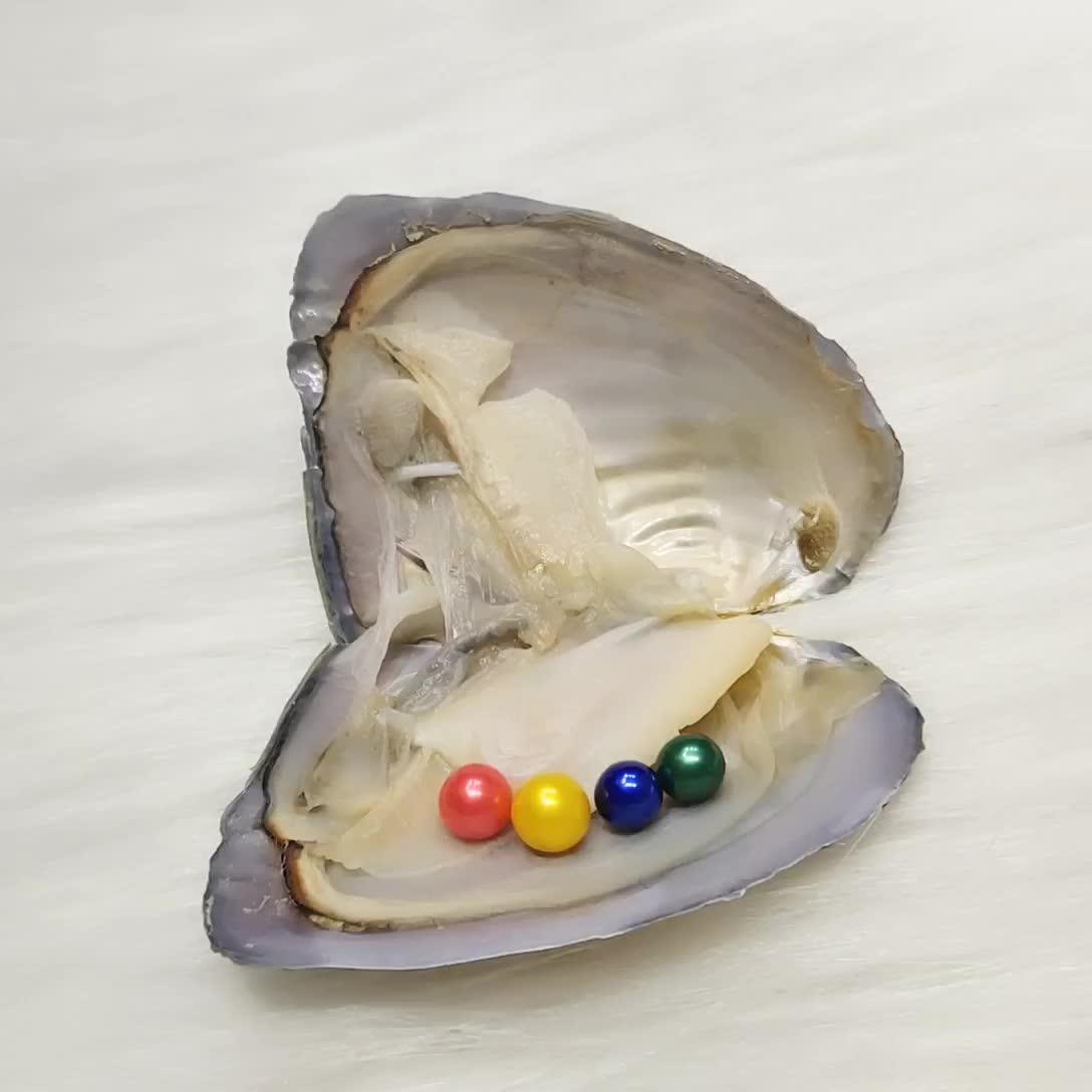 200 Oysters 6-8mm Mix 34 Colors Round Single,Twins,Triplets And Quads ...