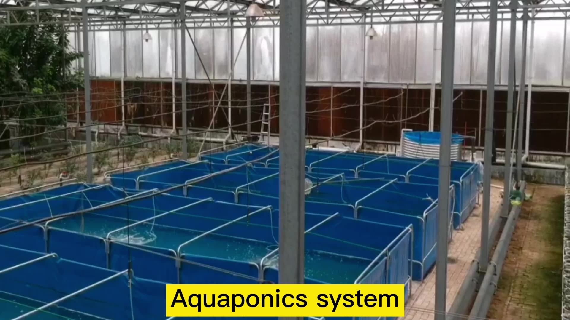 Customized Outdoor Tilapia Fish Farming Breeding System Other ...