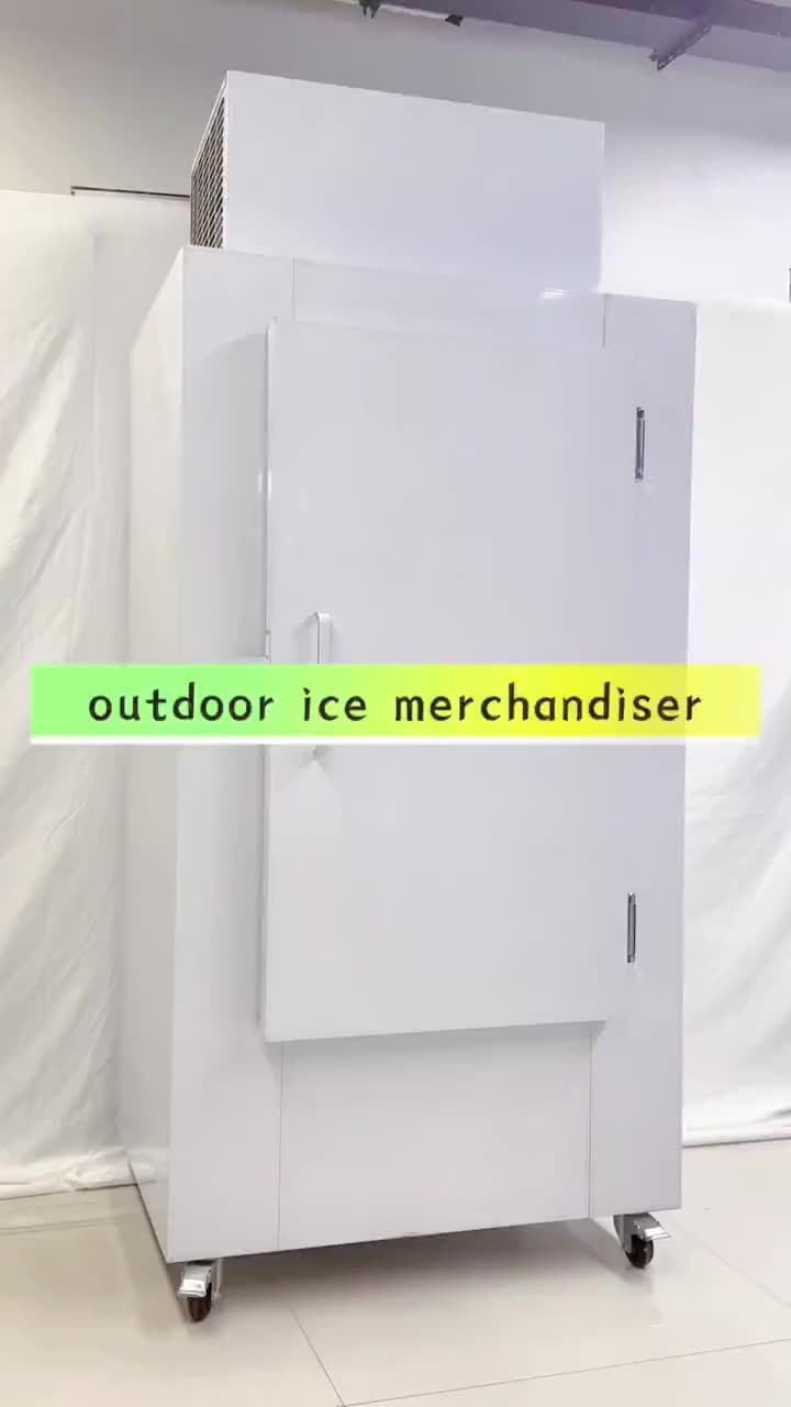 200 Bags Ice Merchandiser Outdoor Ice Storage Freezer Cold Ice Bag ...