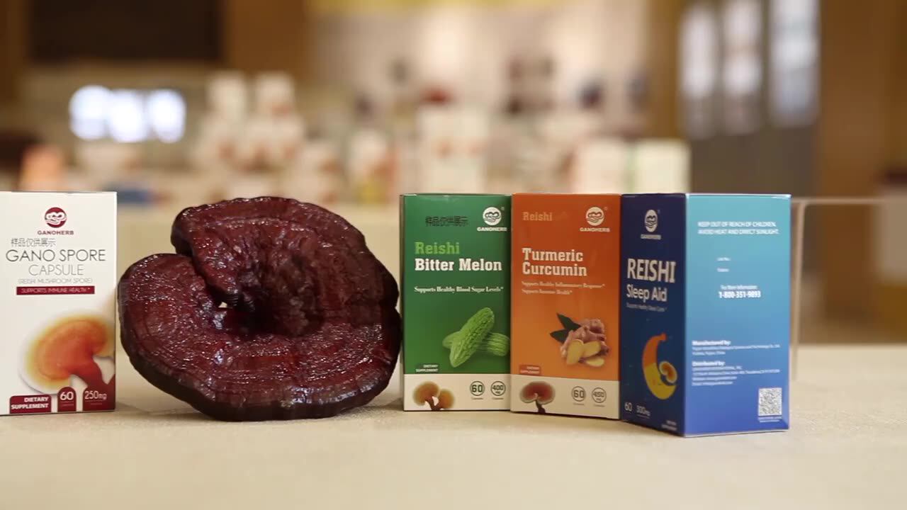 Organo Gold Ganoderma Coffee Wholesale Oem Popular In America Reishi ...