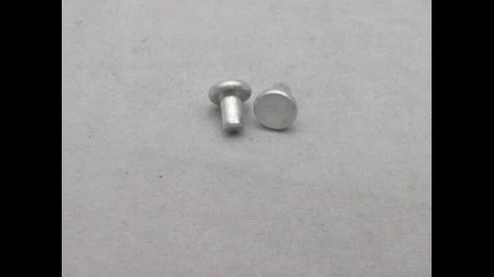 Stainless Steel Self Tapping Rivet - Buy Self Tapping Rivet,Rivet ...