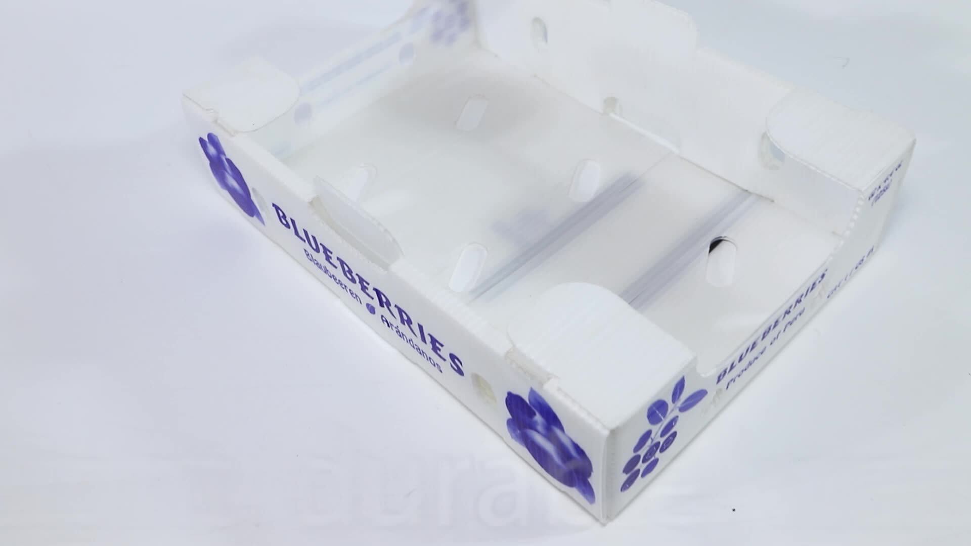 Pp Corrugated Seafood Shipping Container Crate Plastic Corflute Shrimp ...