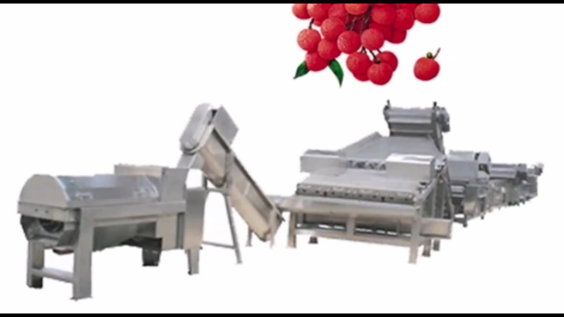 Automatic Fresh Rambutan Peeling Machine Rambutan Juice Machine - Buy ...