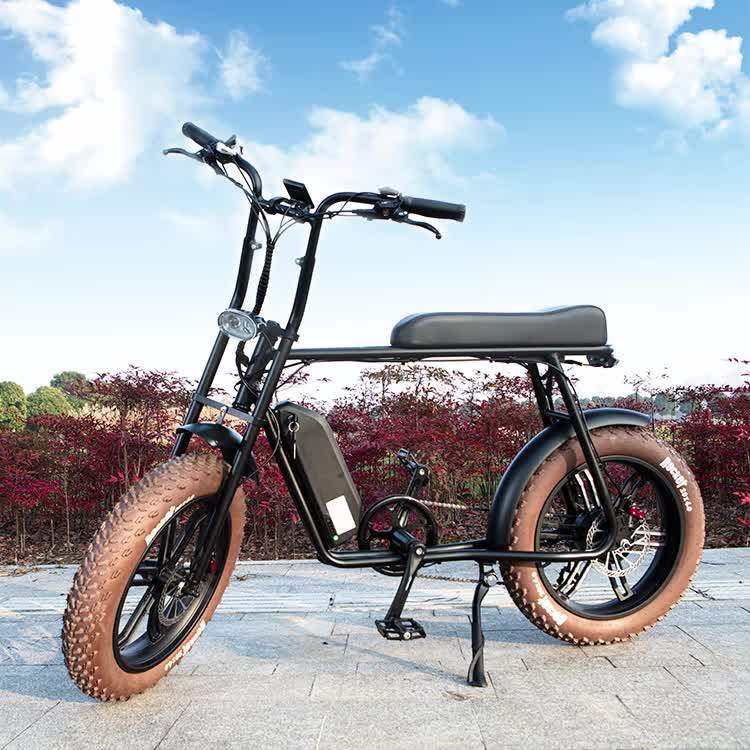 Mario Electric Fatbike Mozo Suspension Front Fork Retro Bicycles 20 ...