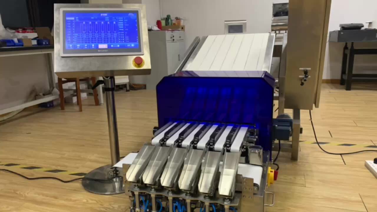 10-lane Strip Product Stick Check Weigher Independent Multi-lane ...