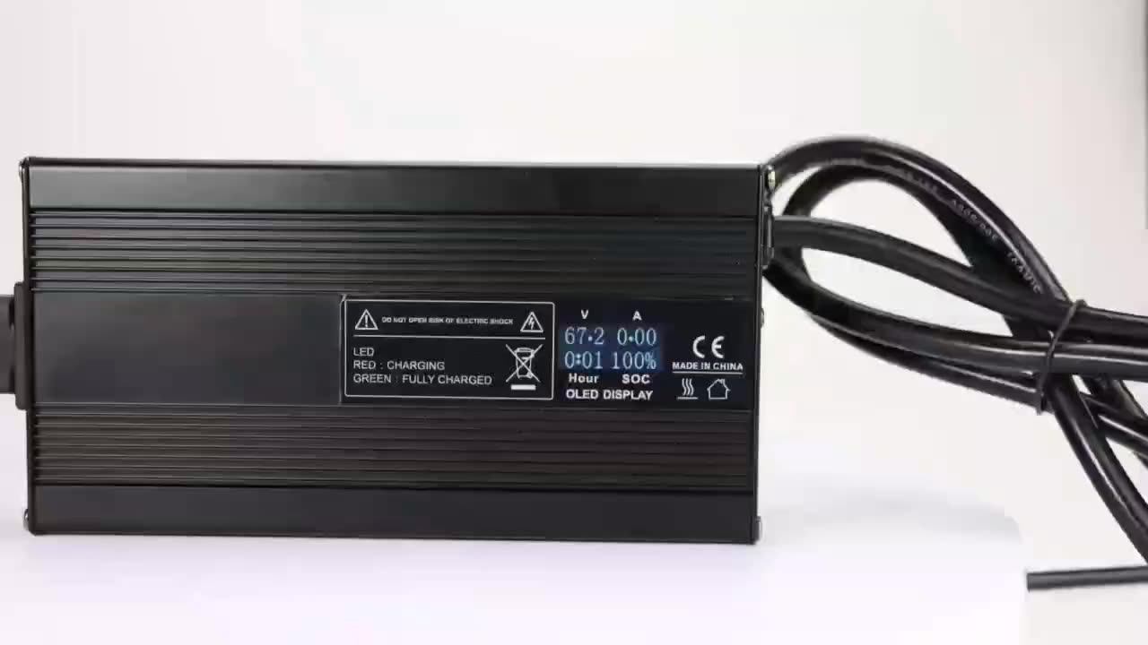 C600m 24v 15a 42v 36v 48v 10a 72v 5a Li Ion Charger 12.6v Lifepo4 Lead ...