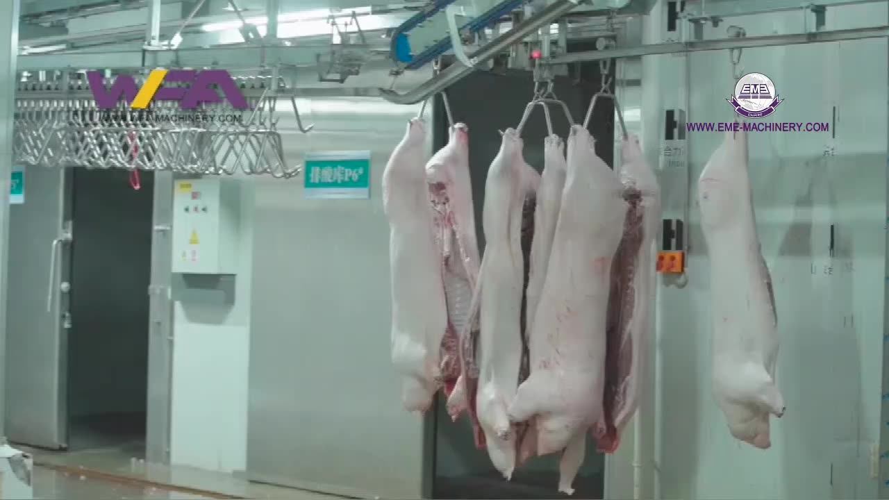 Pork Slaughterhouse Half Carcass Band Splitting Saw With Pig Slaughter ...