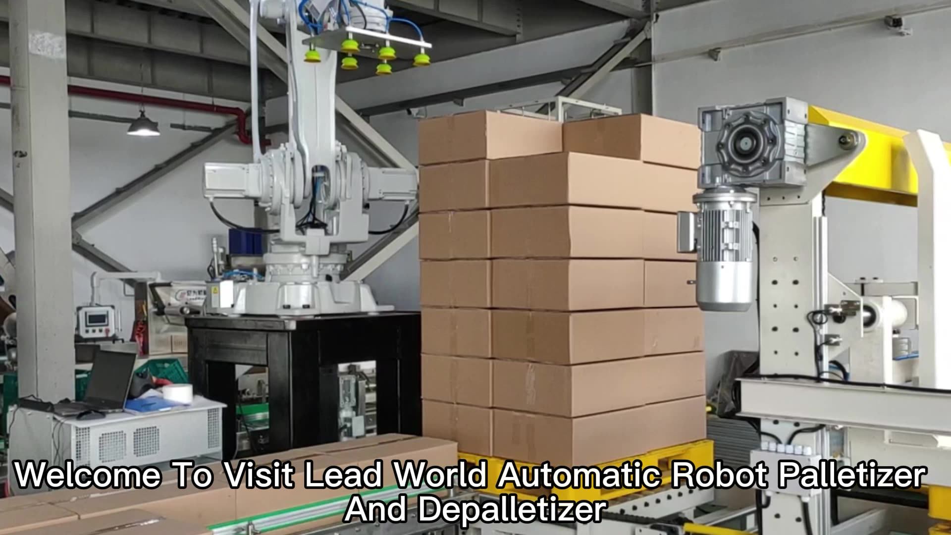 Leadworld Automatic Production Packing Robot Palletizer Palletizing Line System Machine - Buy ...