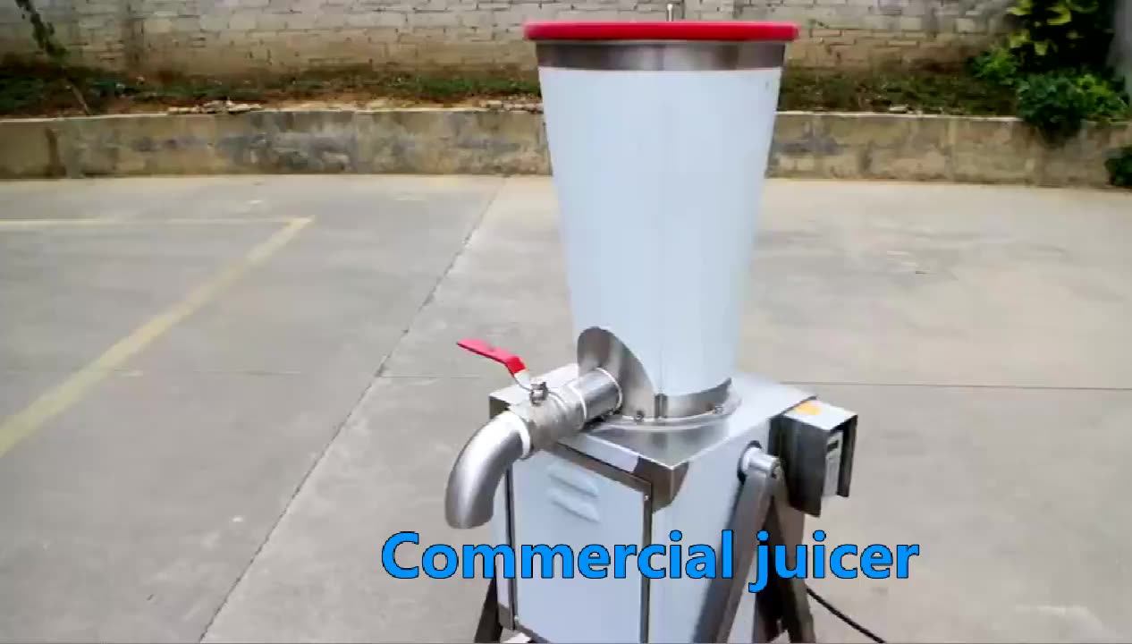 Multifunctional Fruit Pulp Processing Machine Watermelon Blueberry Plum ...