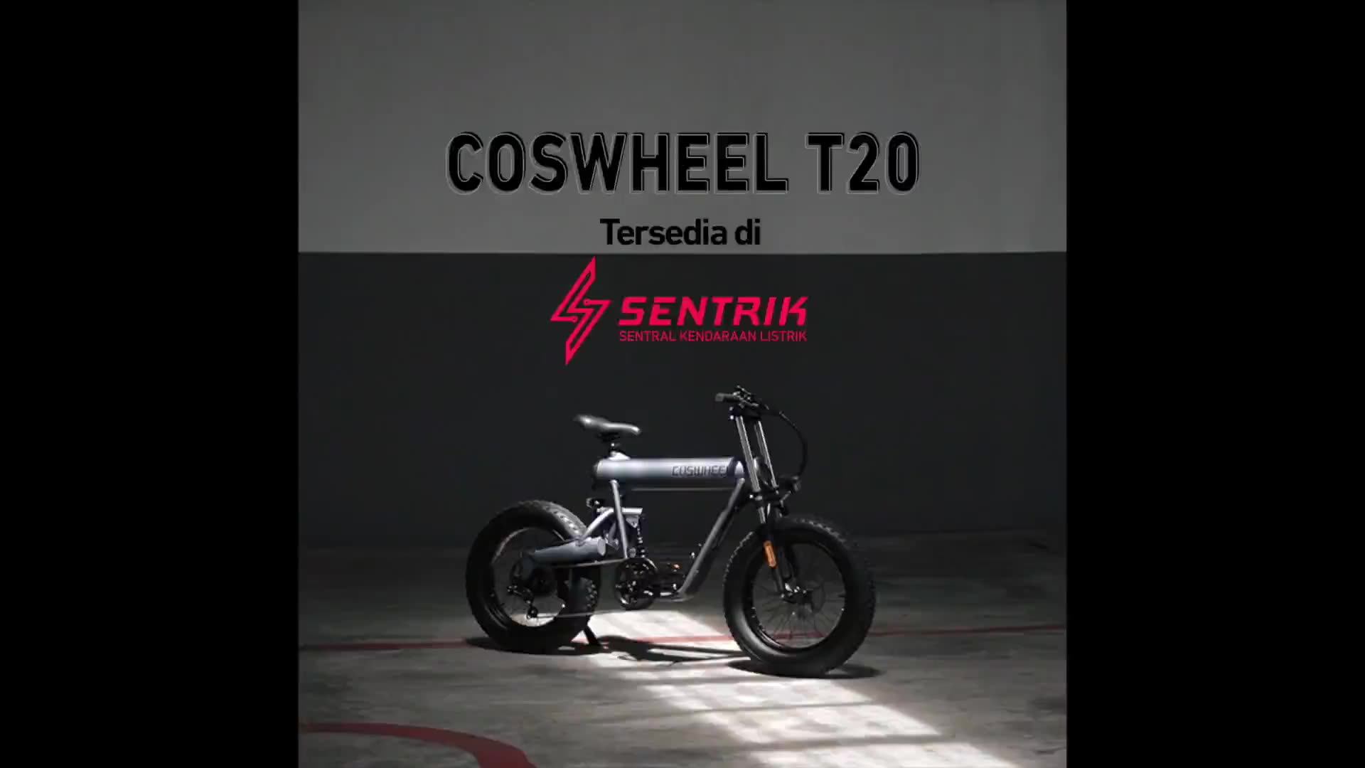 2021 Free Shipping Coswheel T20 Drop Shipping 10ah 15ah 20ah E Bike 20 ...