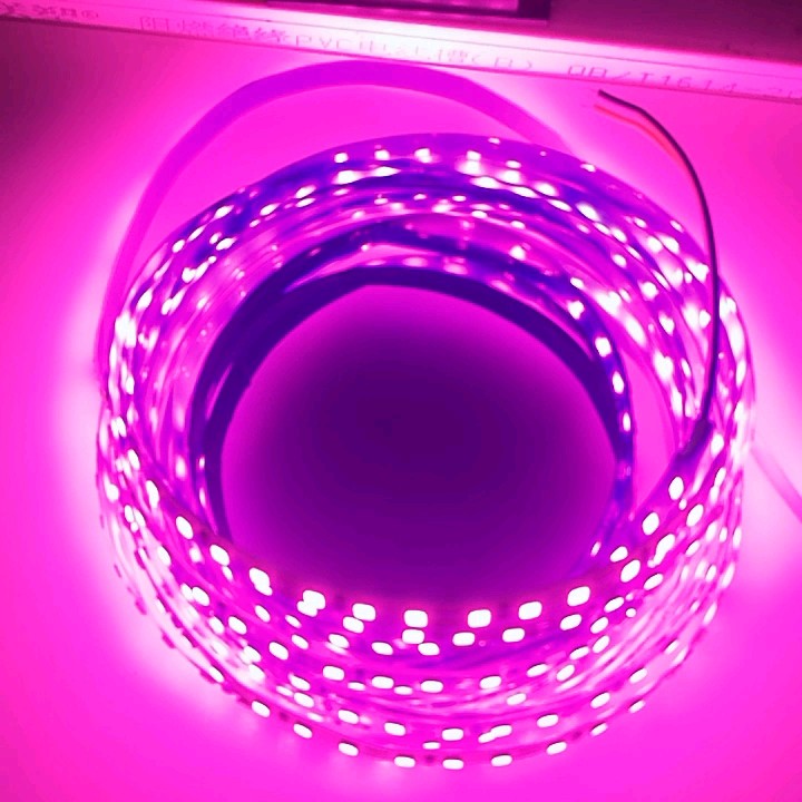 Factory Price Smd 2835 12v Pink 120leds/ M Super Pink Led Flexible ...