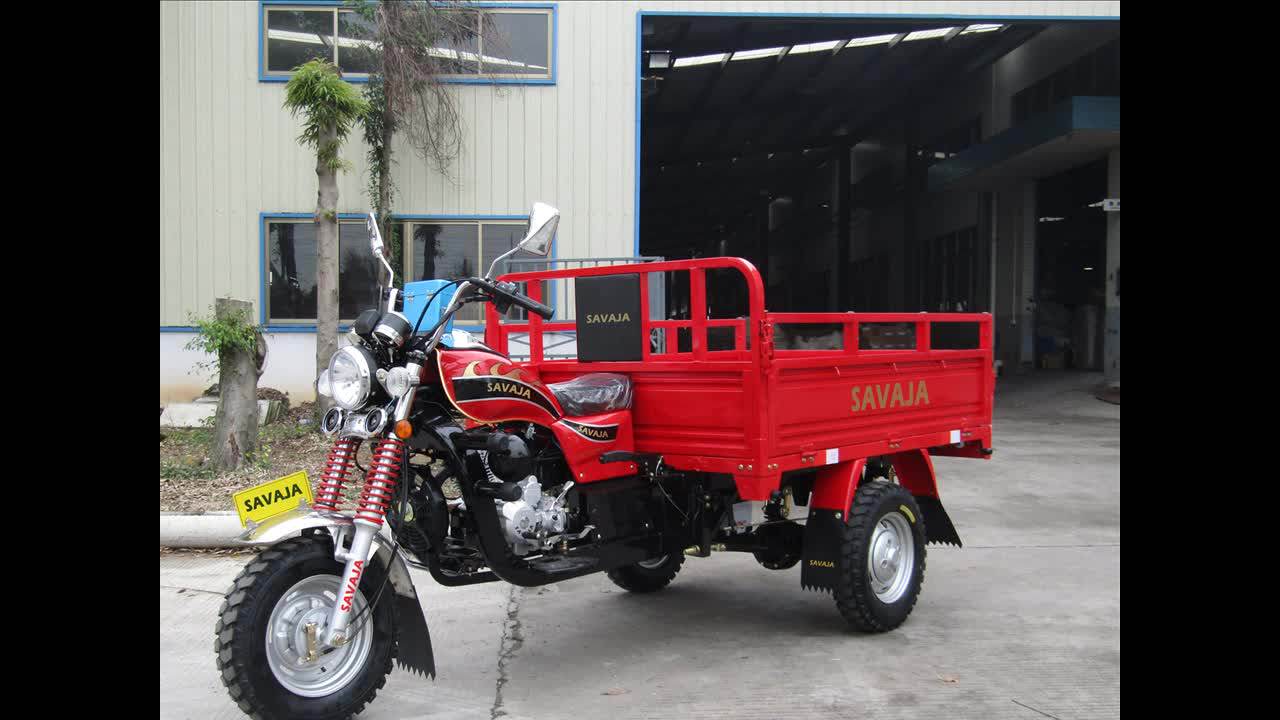 DAYUN FEKON LIFAN LOCIN TRICYCLE THREE WHEEL MOTORCYCLE 150CC 200CC ...