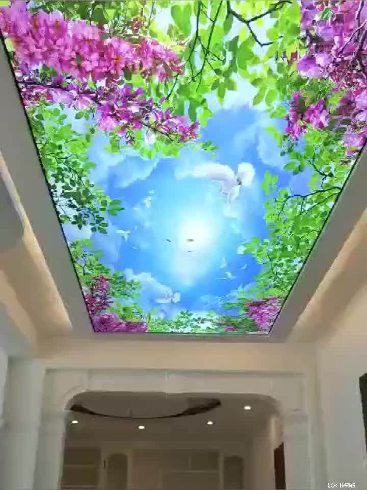 Pvc Stretch Membrane Space Ceiling Images - Buy Bedroom Decoration Pvc ...