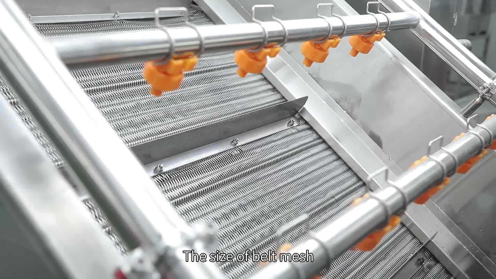 Air Bubble Conveyor Belt Fruit Citrus Washer Orange Washing Process ...