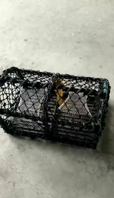 Folding Crab Pots Wire Mesh Fishing Net Lobster Trap - Buy Lobster Trap ...