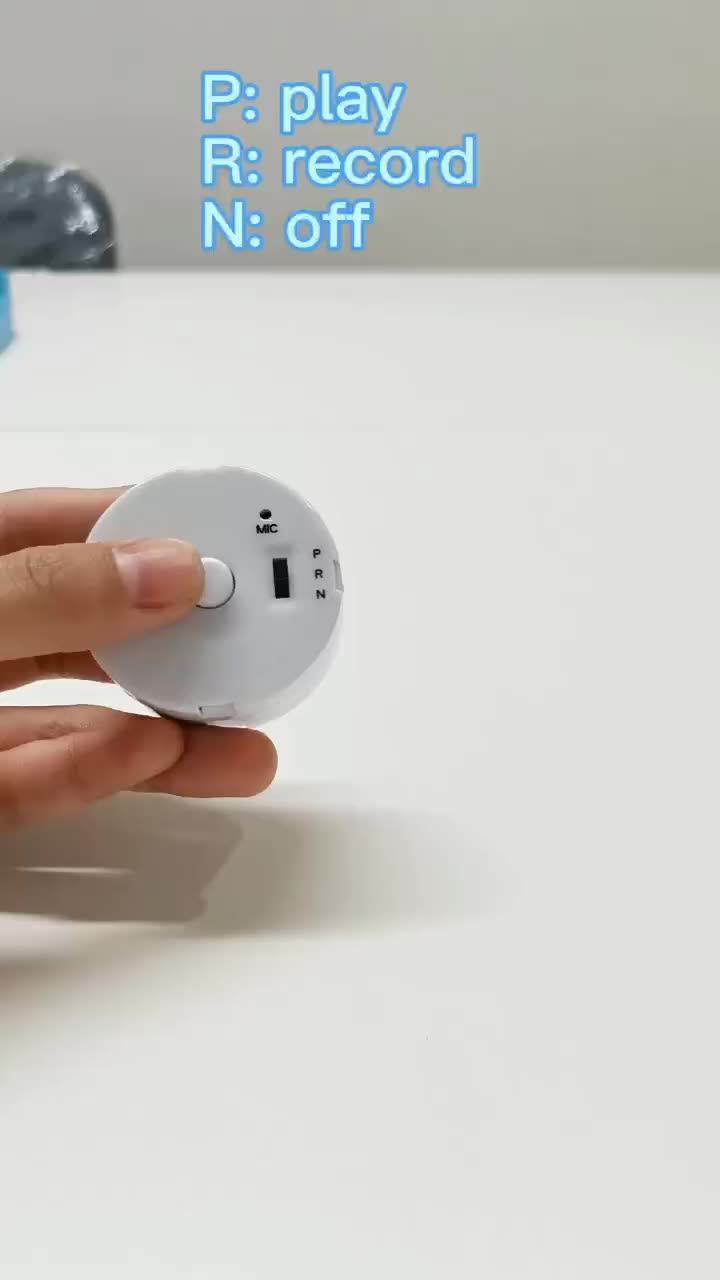 20 Second Mini Hidden Round Shape Voice Recorder For Sale Factory ...