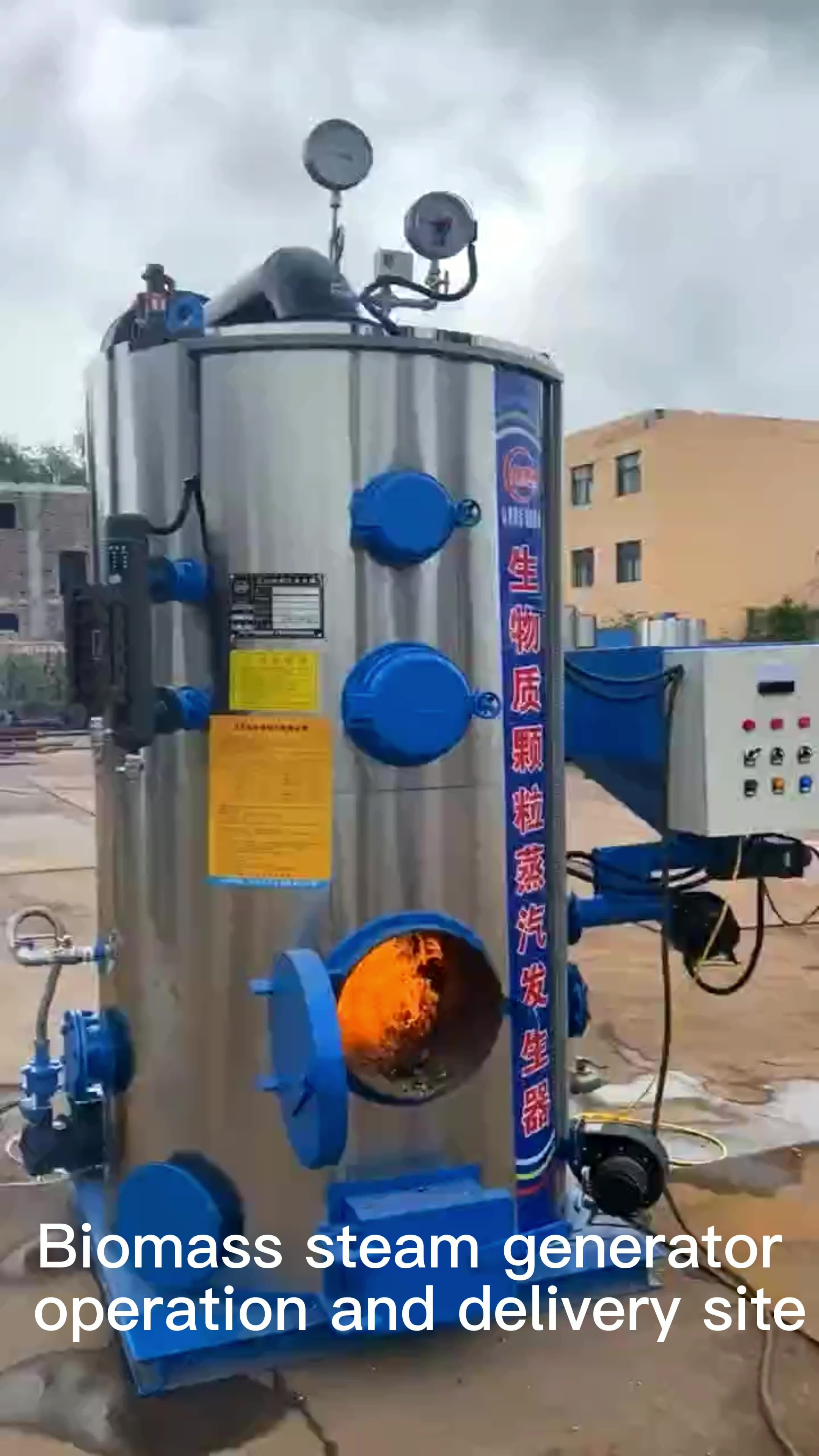 200kg 300kg 500kg 750kg 900kg 1000kg Vertical Biomass Wood Fired Steam ...