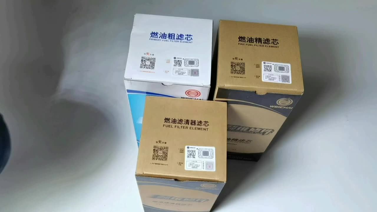Weichai Special Oil Filter Element 1000428205/100053558/1000428205 ...