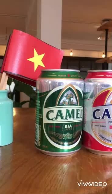Hot Selling Bottle Beer 330ml Lager Camel Beer From A&b Vietnam Beer ...