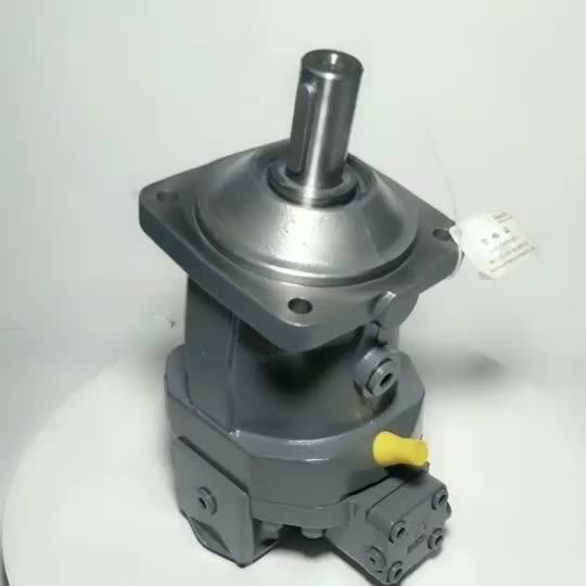 Zhenyuan A6vm Series A6vm55 80 107 160 A6vm55hd1d/63w-xzb01000b-s ...