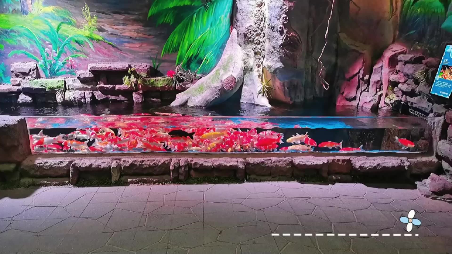 20-300mm One-time Casting Good Price Big Aquariums,Aquarium Tank ...