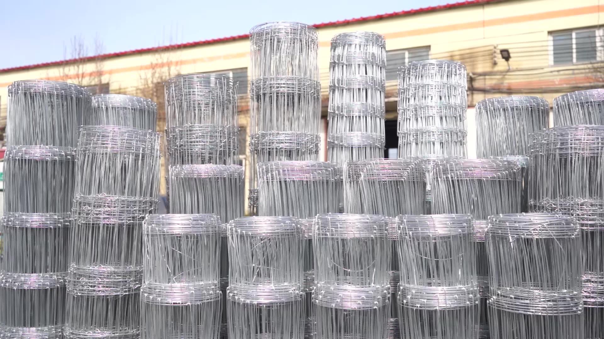 Cattle Veld Span Fence Of Iron Wire And Steel Fence Mesh Electric ...