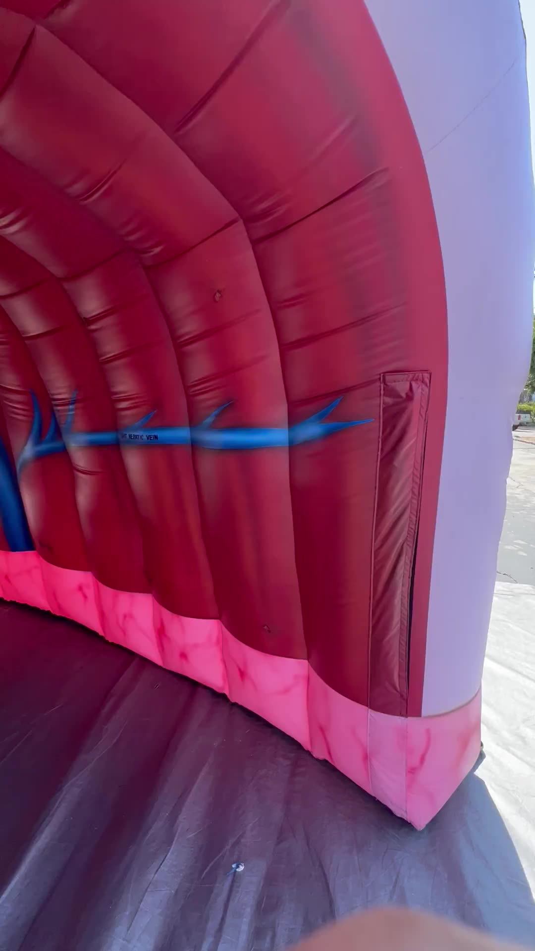 Inflatable Liver Medical Exhibition Large Model Giant Inflatable Human ...