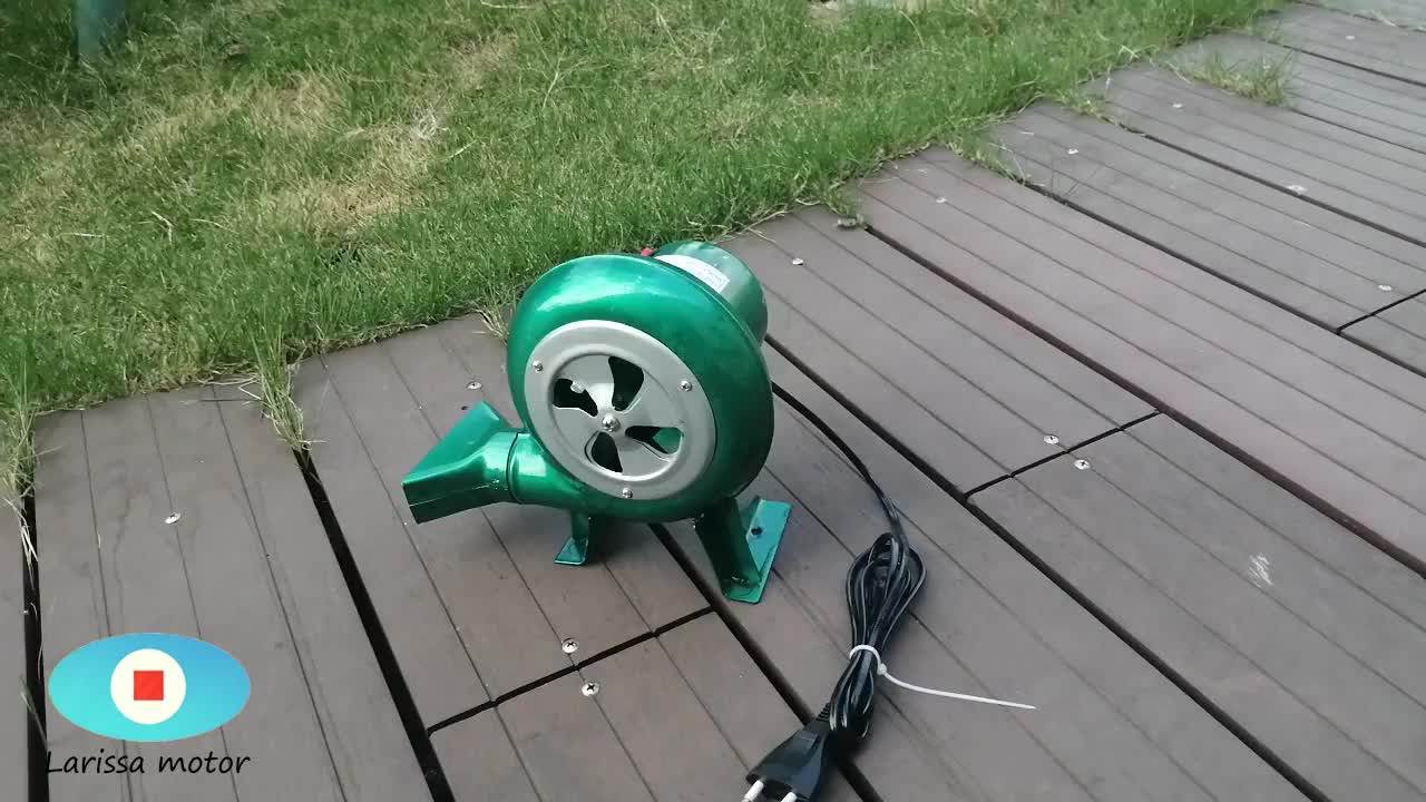 Mini Portable Electric Small Air Blower Commercial Car Air Blower 50 ...