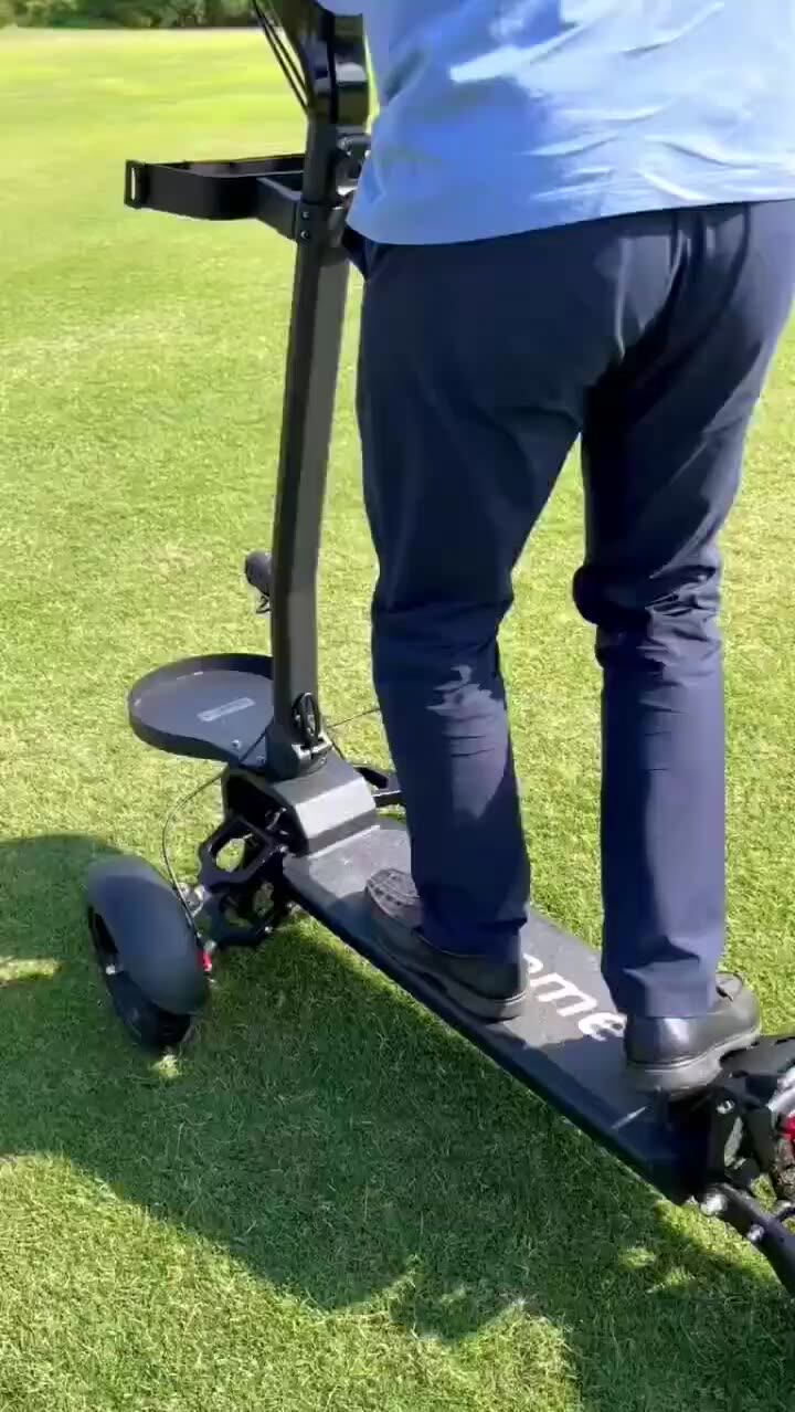 Factory Scooters 3 Wheel Electric Scooter Trike Skateboard 48v Power ...