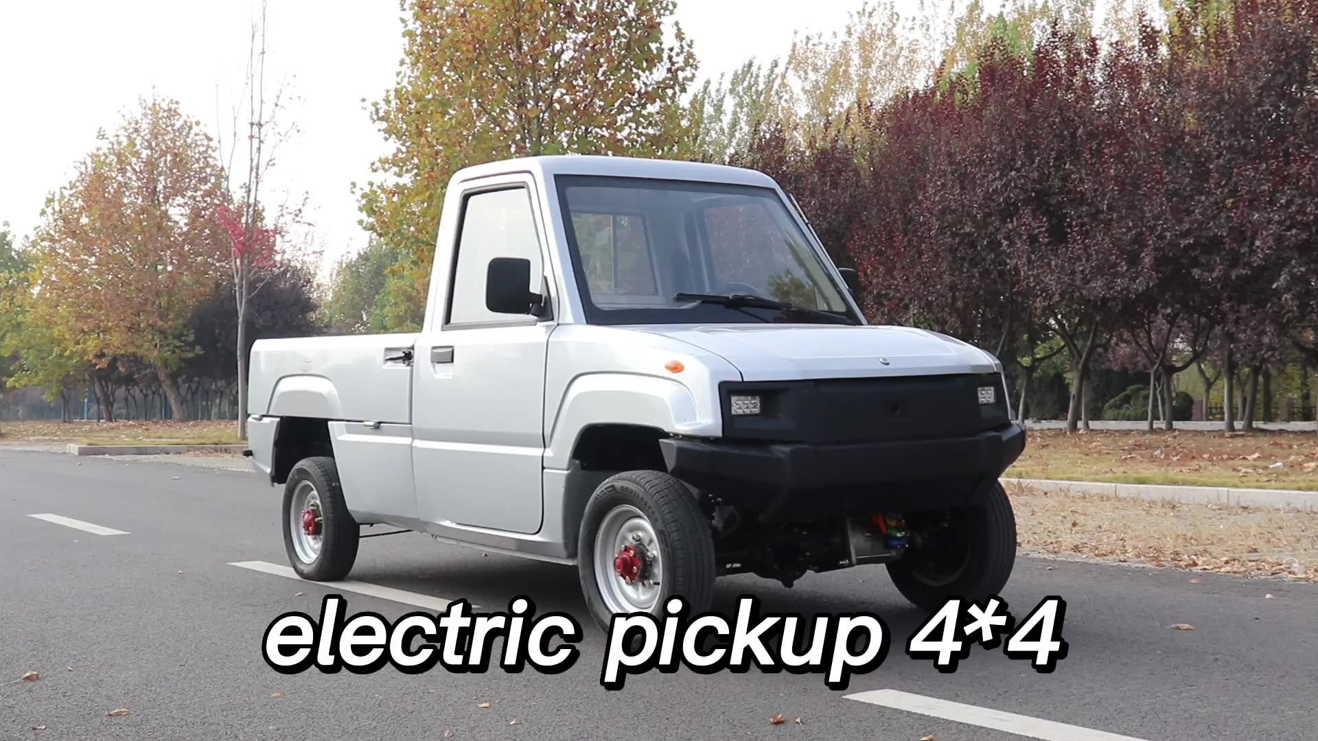 Yanuo New 2 Seater Chinese Mini Electric Car Electric Trucks 4x4 Mini ...