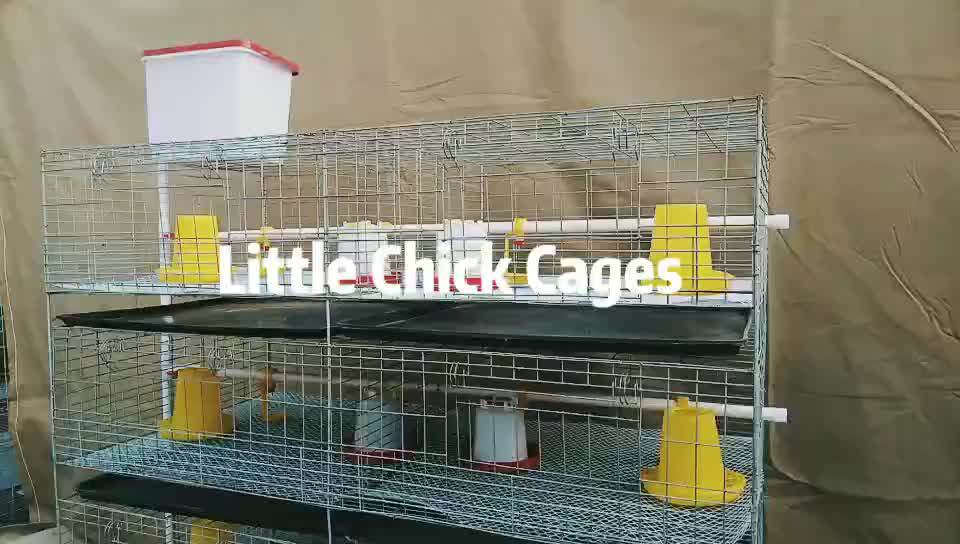 Poultry Farm Baby Chick Brooder Cage Day Old Chicken Cage Battery ...