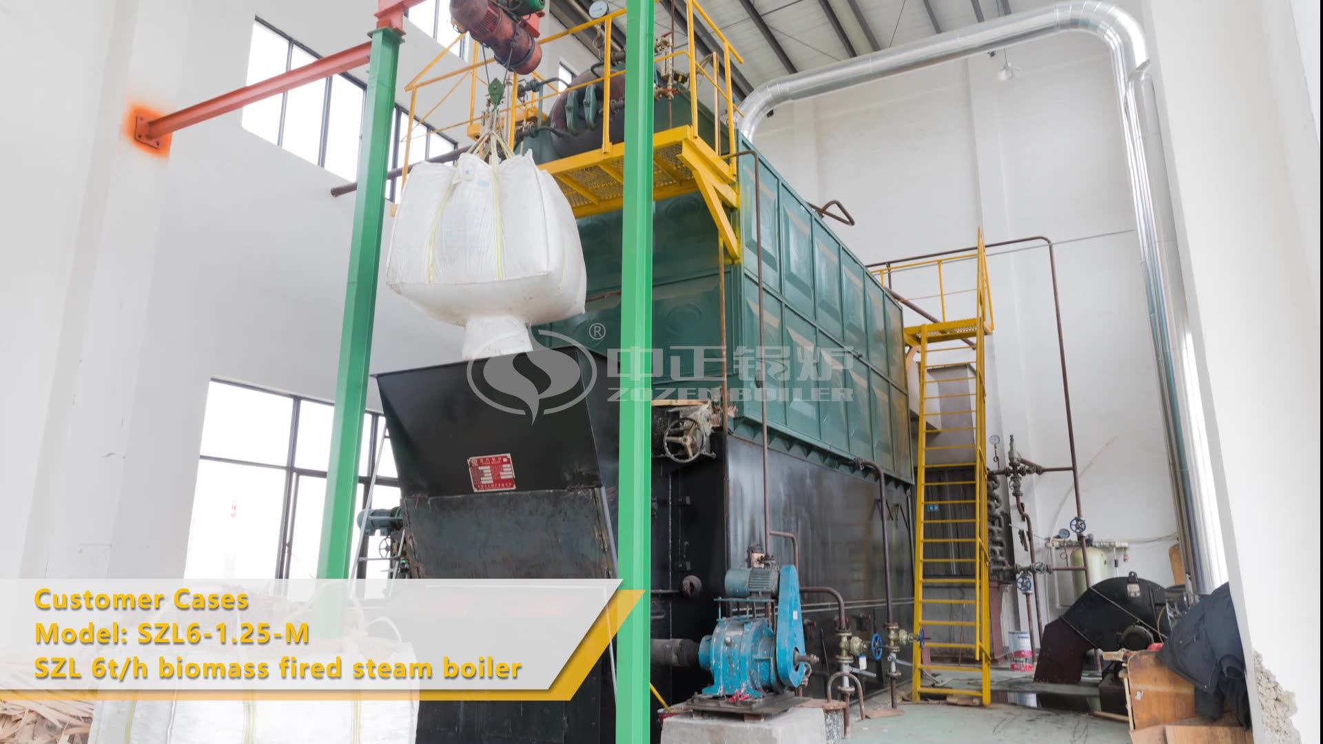 Wood Chips Fired 5mw Biomass Boiler For Industry Power Plant - Buy 5mw ...