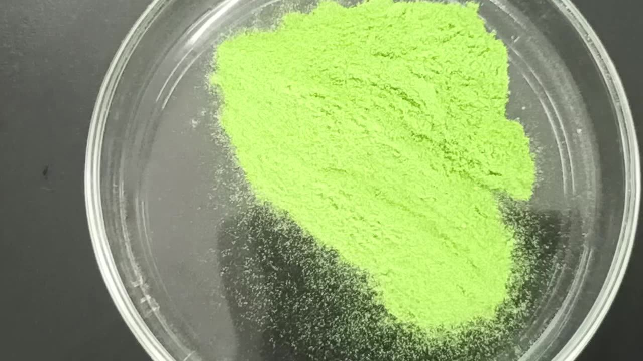 Youshuobio Natural Pure Food Cream Euglena Gracilis Agae Extract Powder ...