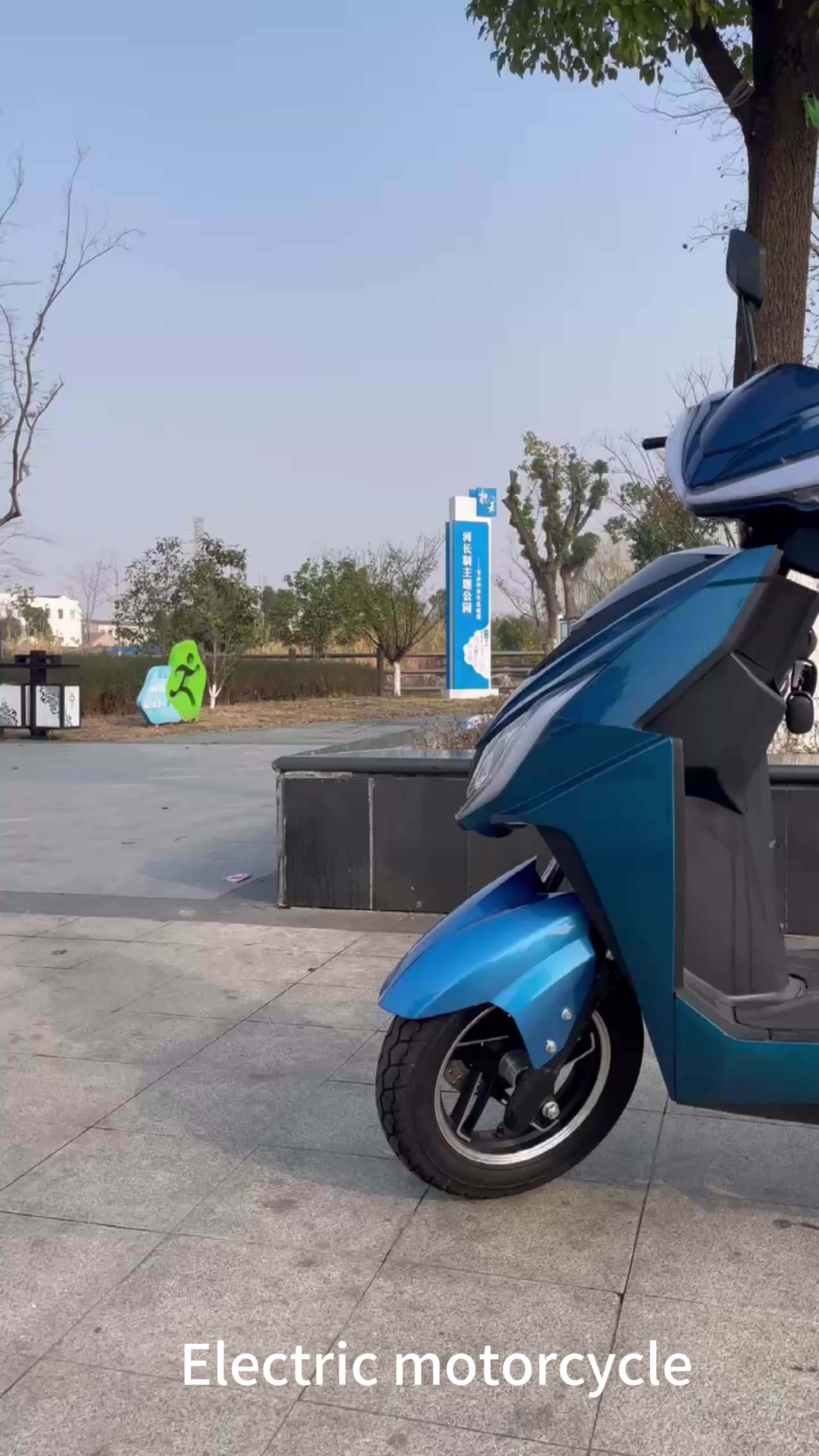 Fast Motorcycle Electric Adult Electric Motorcycle With 800w And Disk ...