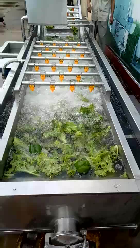 Conveyor Belt Washer Commercial Vegetable Washer Industrial Fruit ...