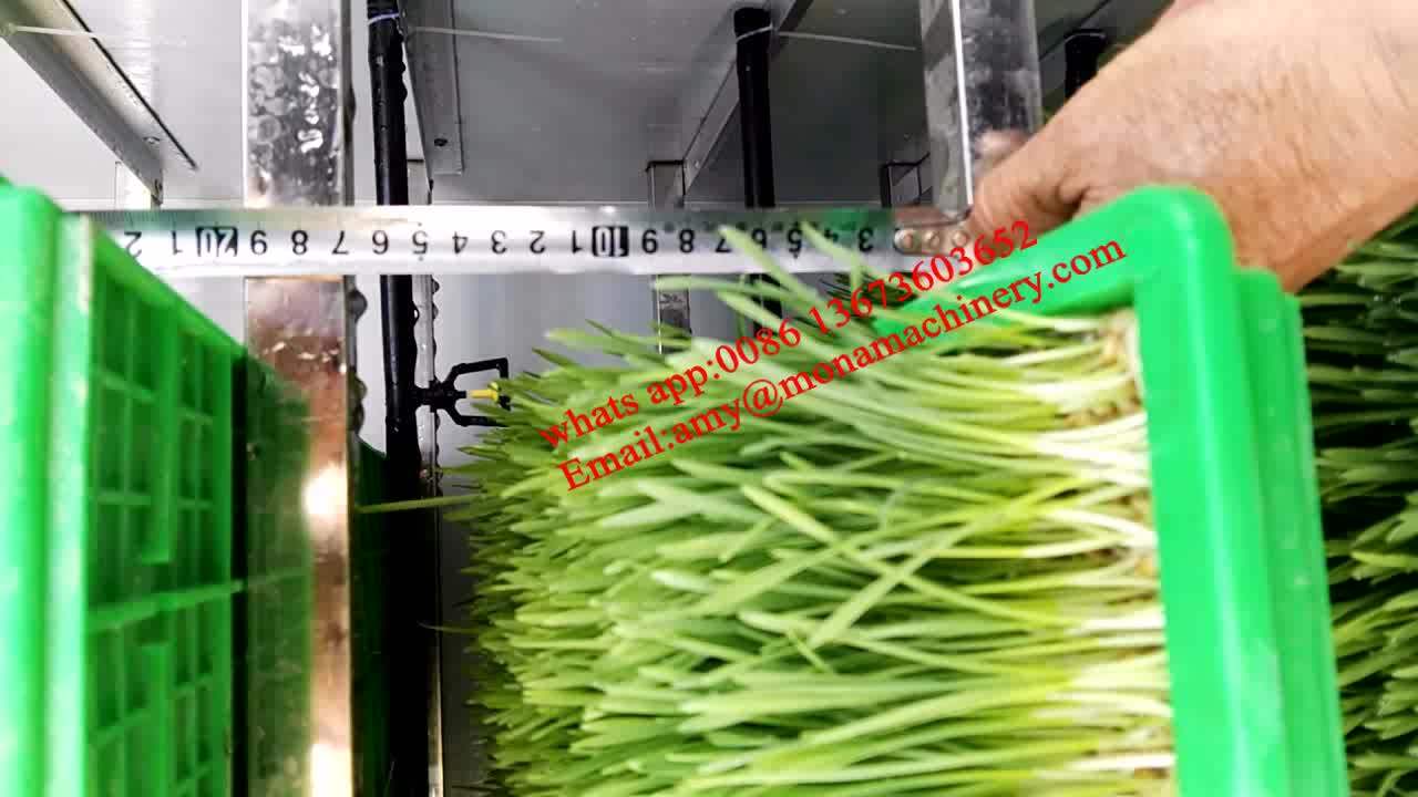 Container Type Hydroponic Barley Fodder Growing System | Grass Seeds ...