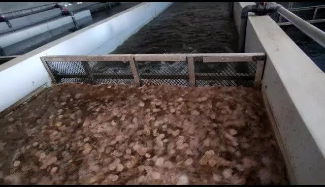 Virgin Pe Biofilm Reactor Hdpe Carriers Biofilter K1 K3 K5 Mbbr Bio ...