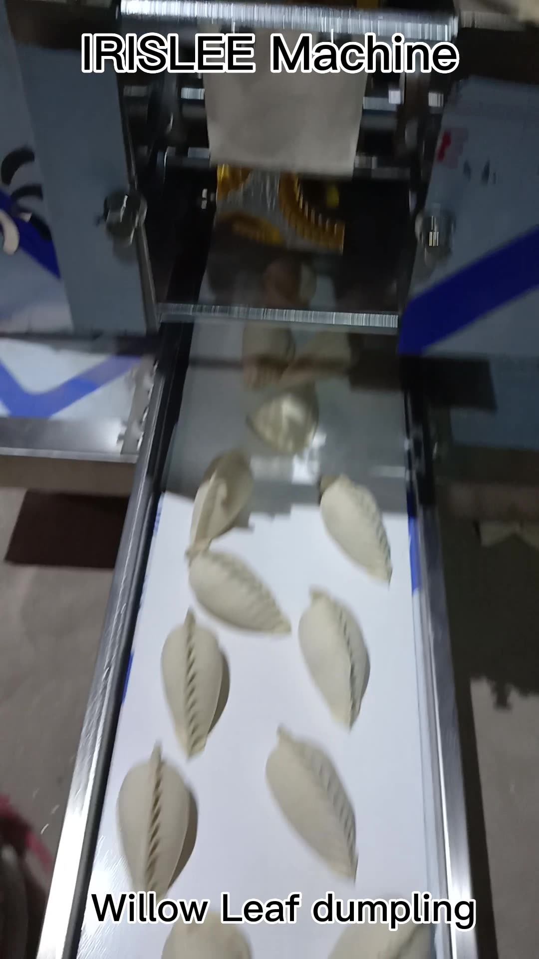 Lbjz-200 Commercial Restaurant Dumpling Maker Pasta Empanada Maker ...