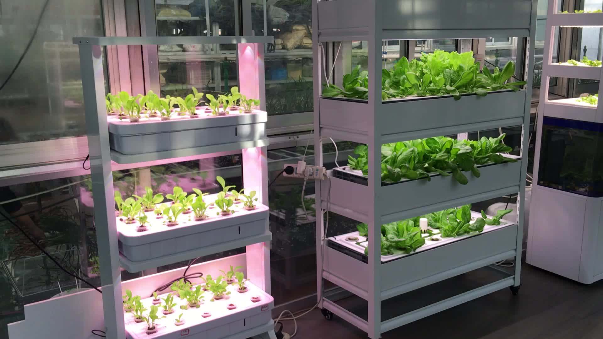 Hydroponic Greenhouse Systems Led Plant Indoor Herb Garden Hydroponic ...