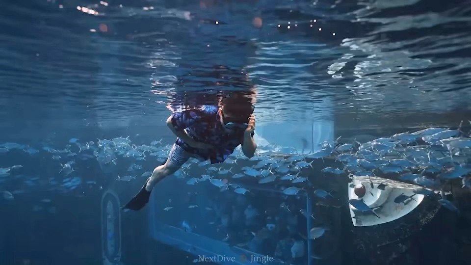 Dedepu 1l Portable Scuba Compressor Air Tank High-pressure Capsule ...