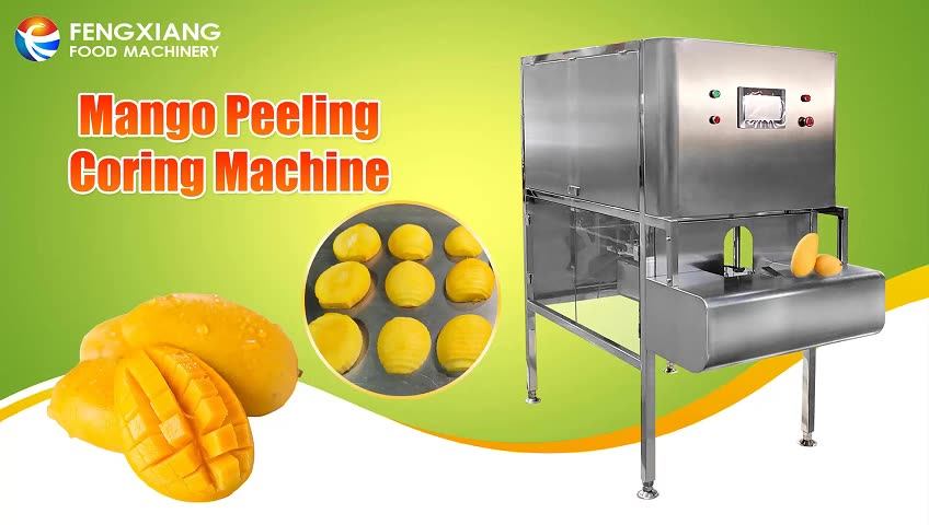 Fresh Mango Skin Peeling Core Pitting Machine Juice Making Screw ...