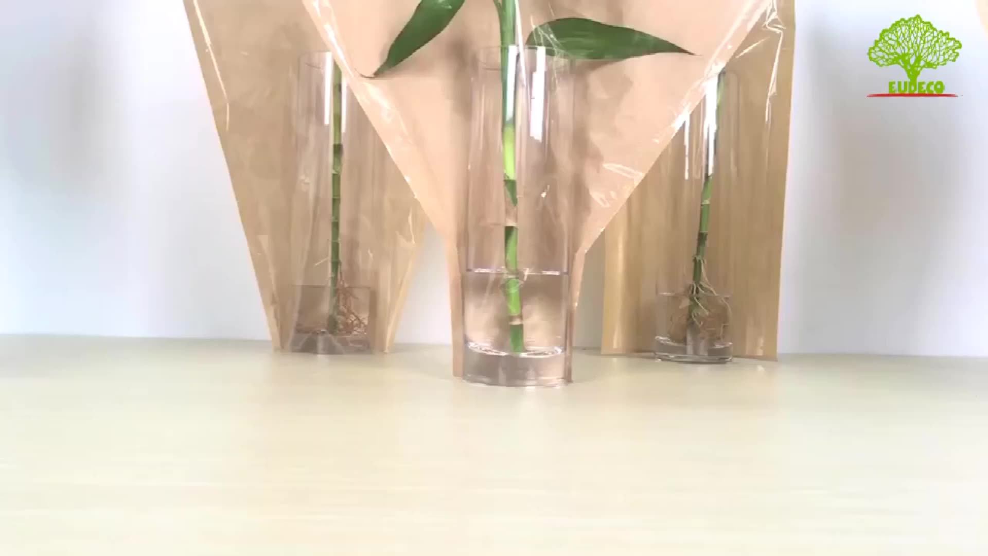 Home Fully Compostable 100% Biodegradable New Eco-friendly Pla Material ...