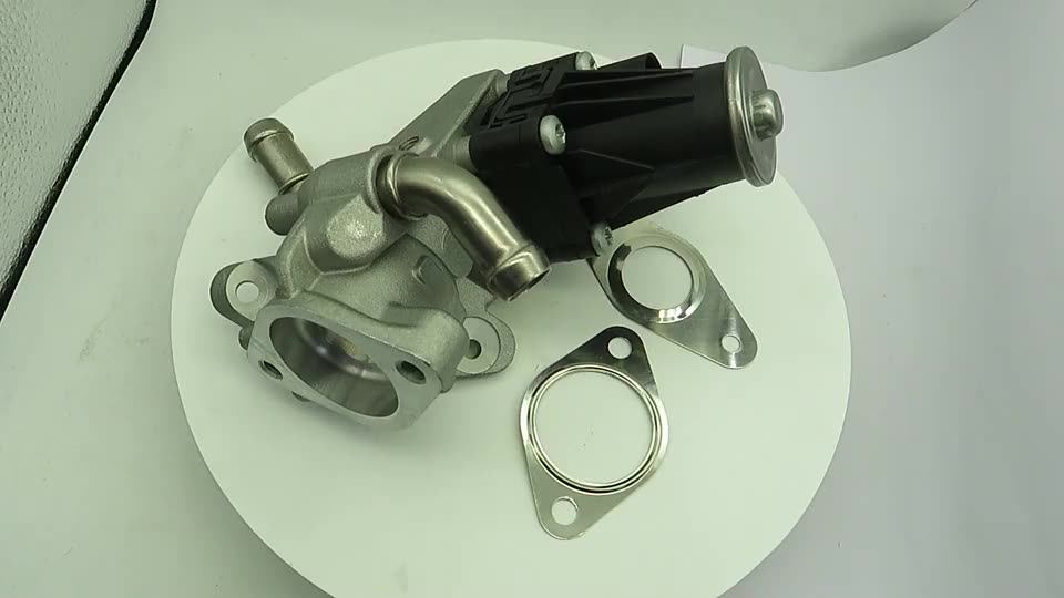 High Performance Egr Valve For Ford / Peugeot Oem 1730360; 9800555380 ...