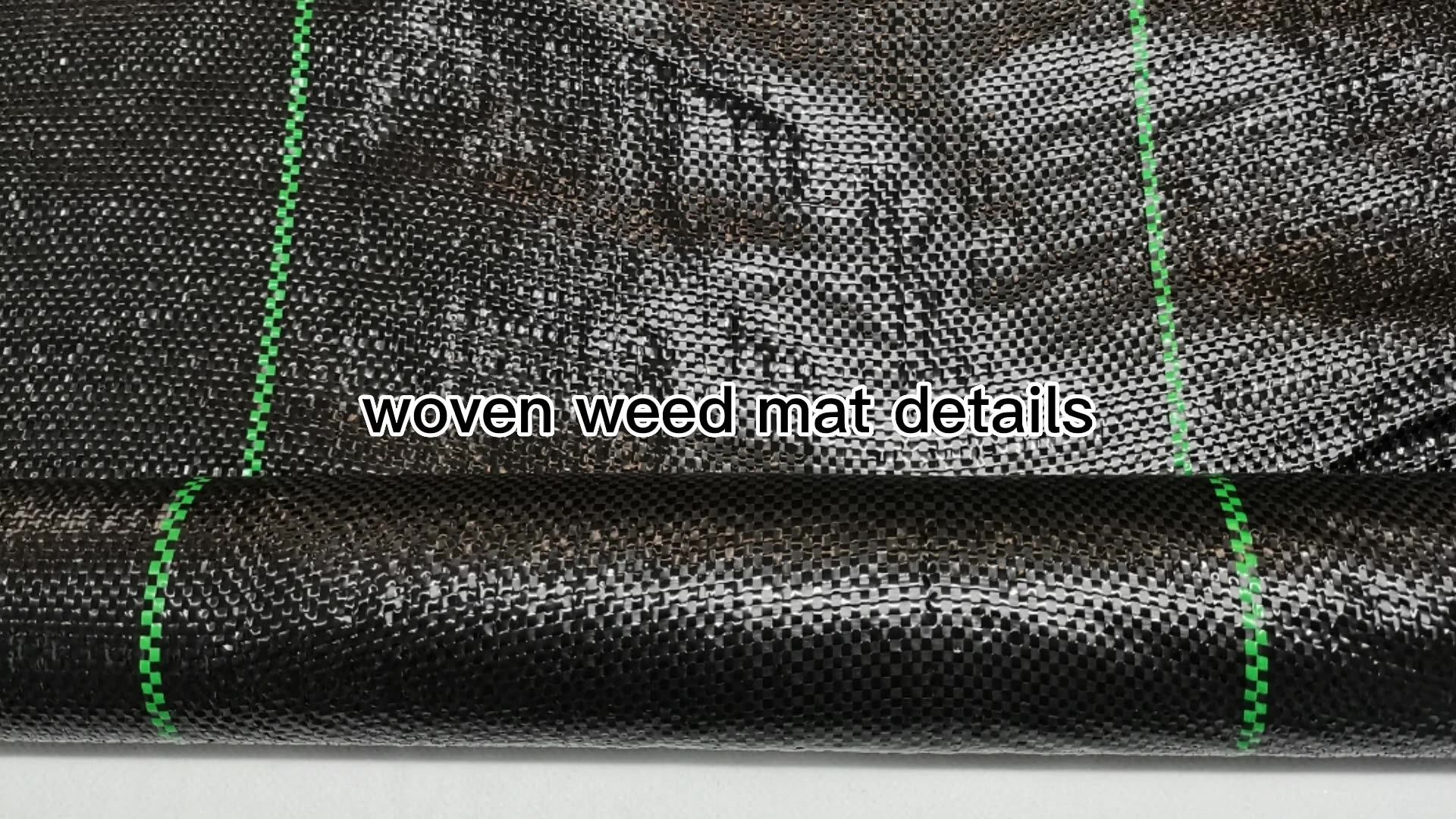 Agriculture Weed Control,Biodegradable Weed Barrier,Strawberry Plants ...